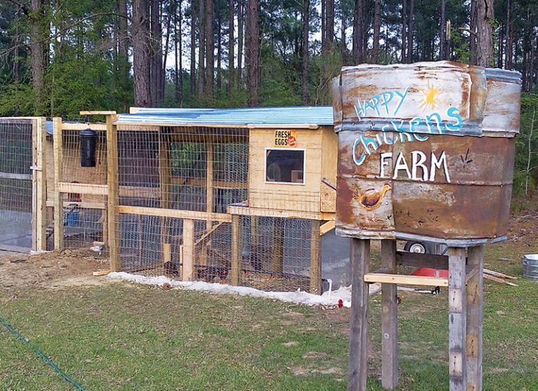 A Water Tower Chicken Coop - Backyard Poultry